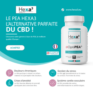 PEA OptiPEA® Labelisé 400mg | 90 Gélules | Hexa3